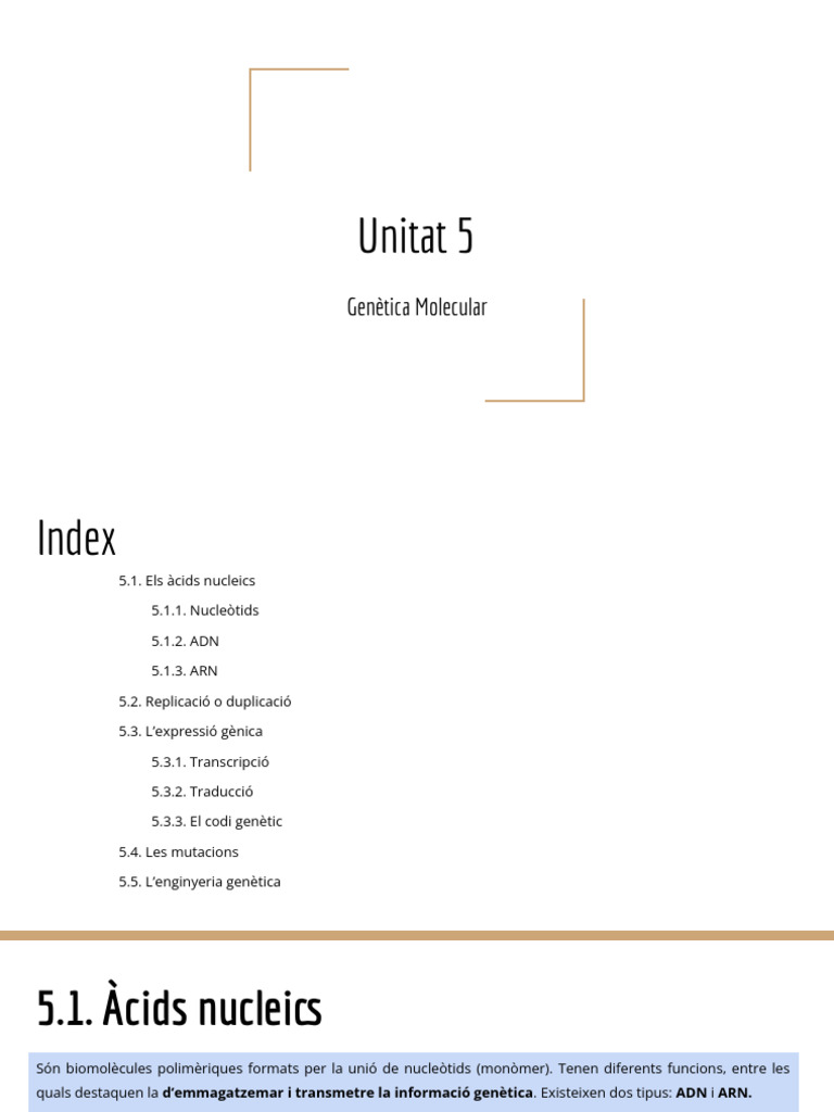 Unitat 5 | PDF