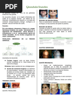 Clasificación del Bocio según OMS | PDF