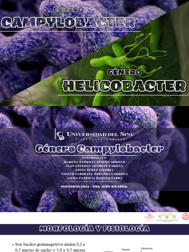 Campylobacter y Helicobacter | PDF | Microbiología | Especialidades Medicas