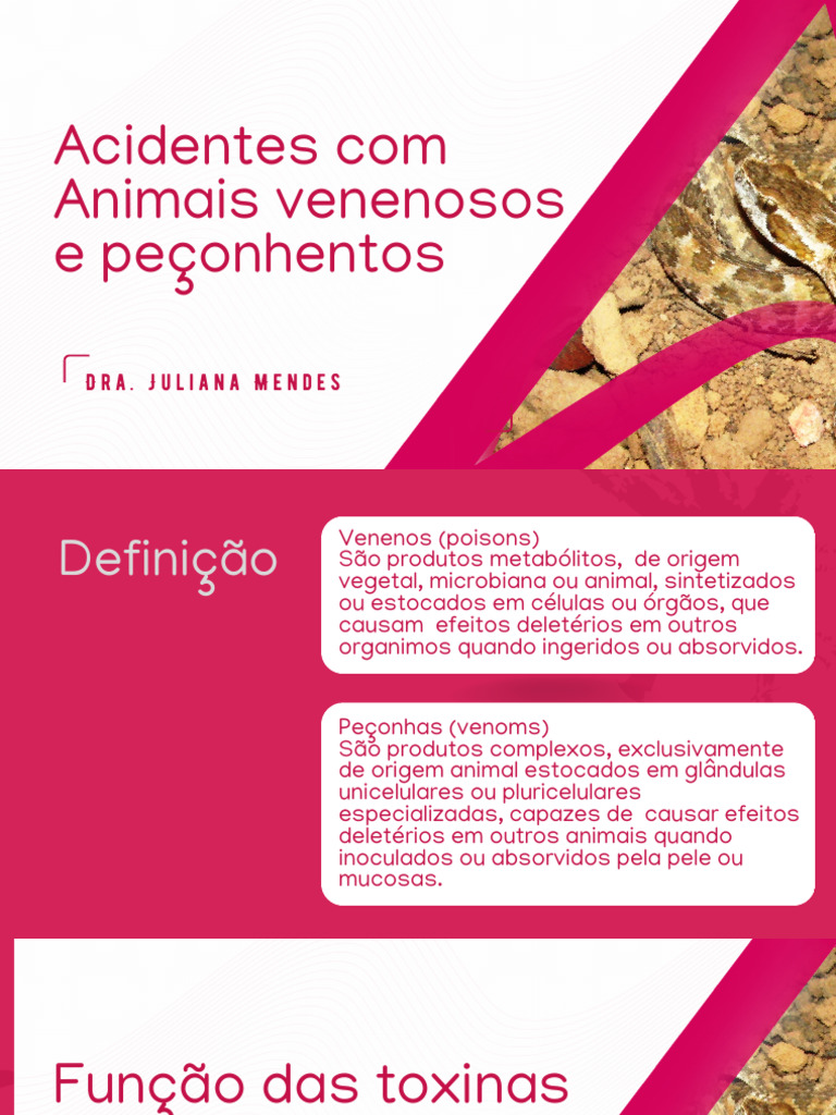 Animais Venenosos e Peçonhentos - Efeitos No Ser Humano para Alunos de ...