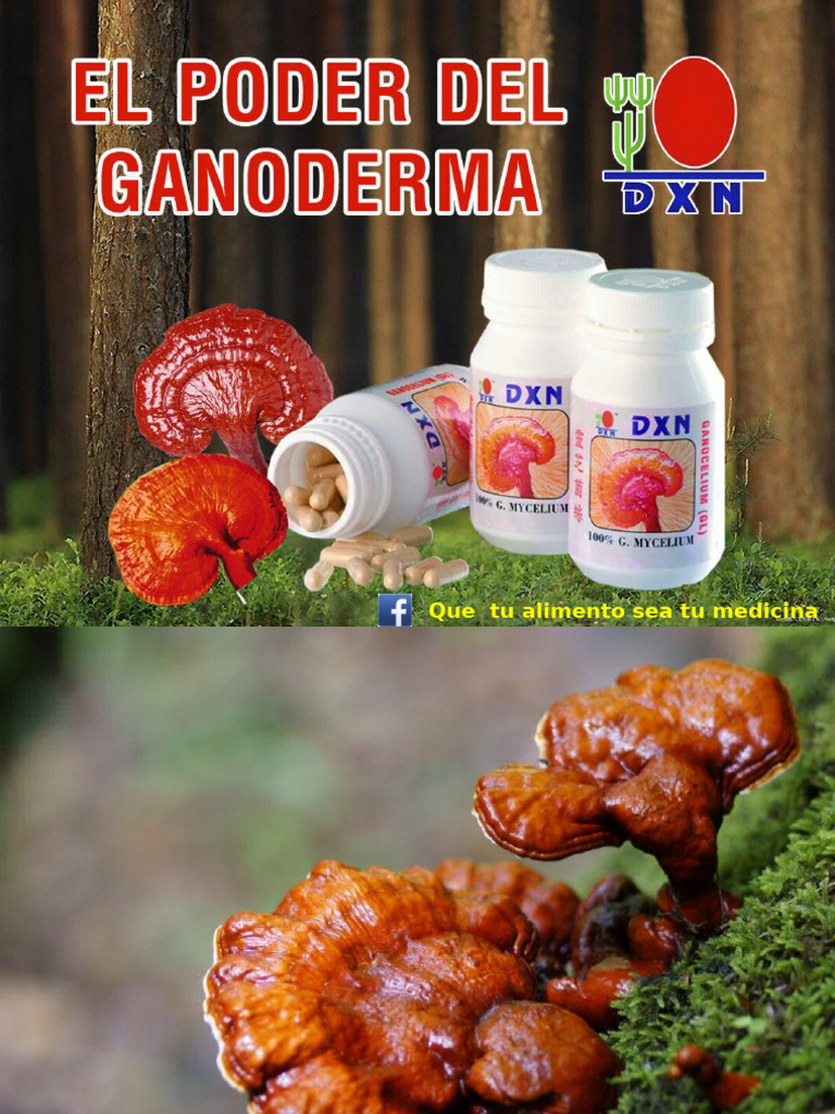 Productos Orgánicos DXN con Ganoderma | PDF | Alimentos | Sistema inmune