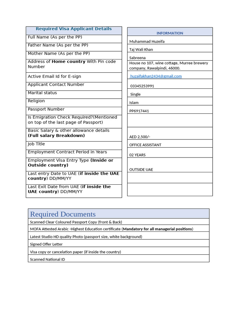 Required Visa Applicant Details | PDF
