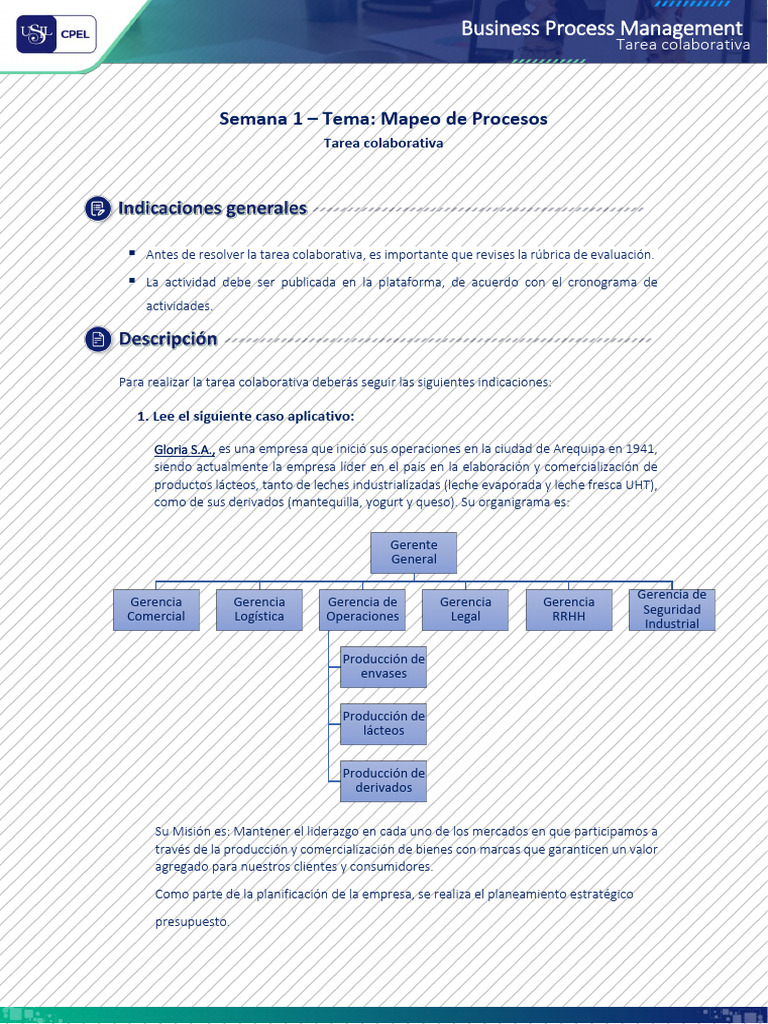 BPM S1 Act Colaborativa Caso Gloria | PDF | Leche | Business