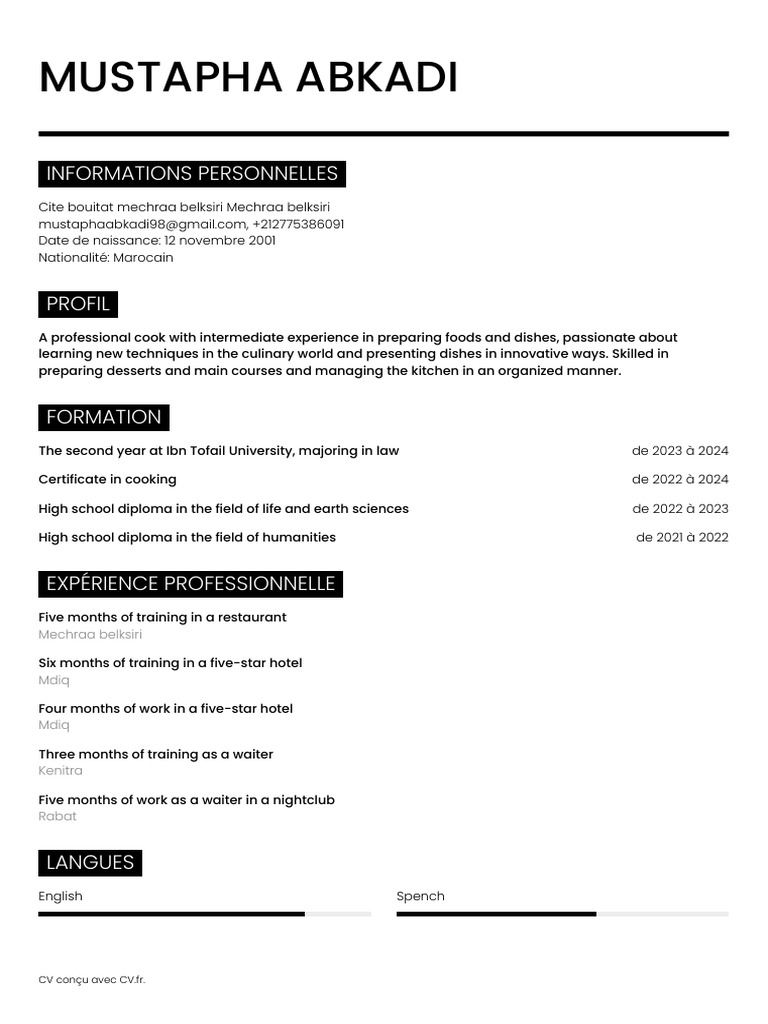 cv-de-mustapha-abkadi | PDF