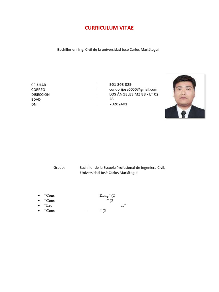 Curriculum Vitae Jose Condori | PDF | Ingeniería