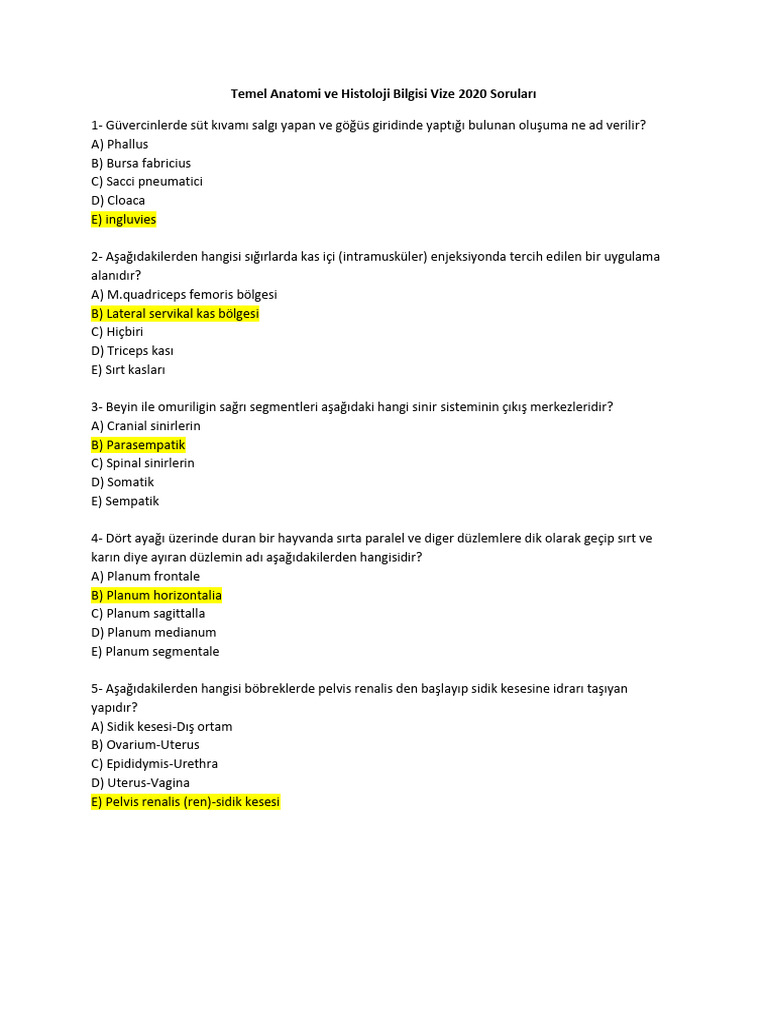 Temel Anatomi Ve Histoloji Bilgisi (AUZEF) | PDF