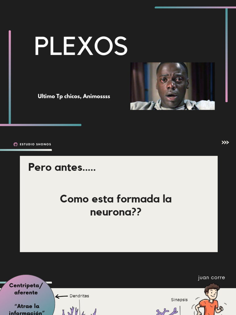 Generalidades de Plexos y Nervios Per | PDF