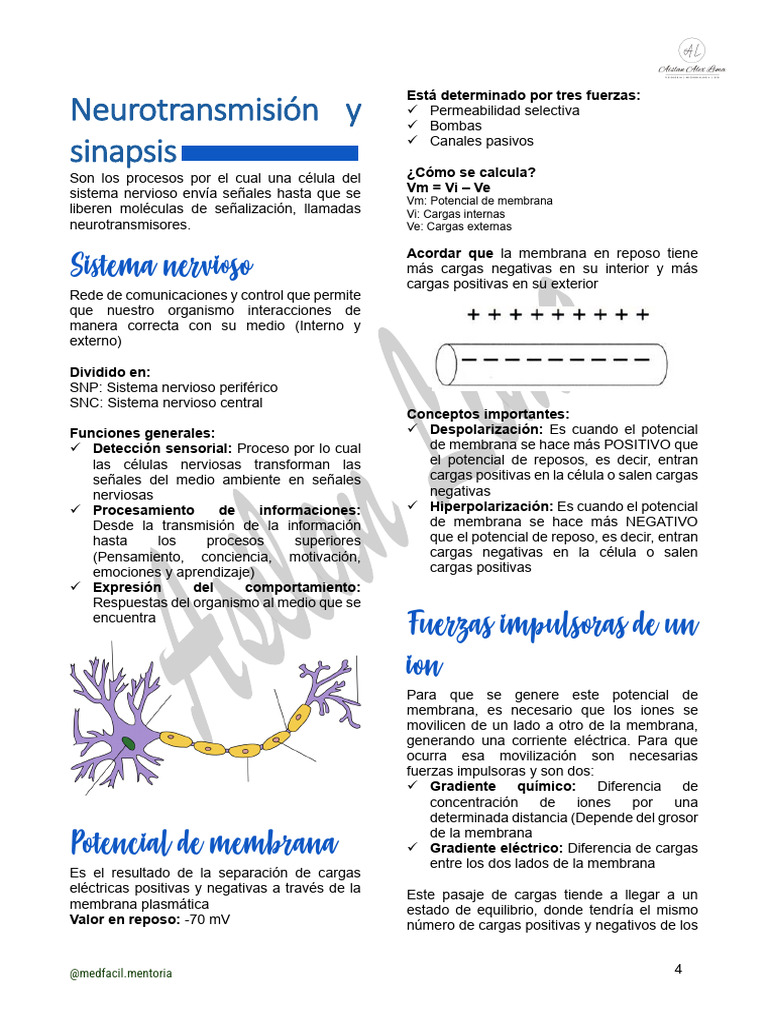 Apunte NEURO 1 - NeurotransmisiÃ N, Sensitivo y Sentidos | PDF ...