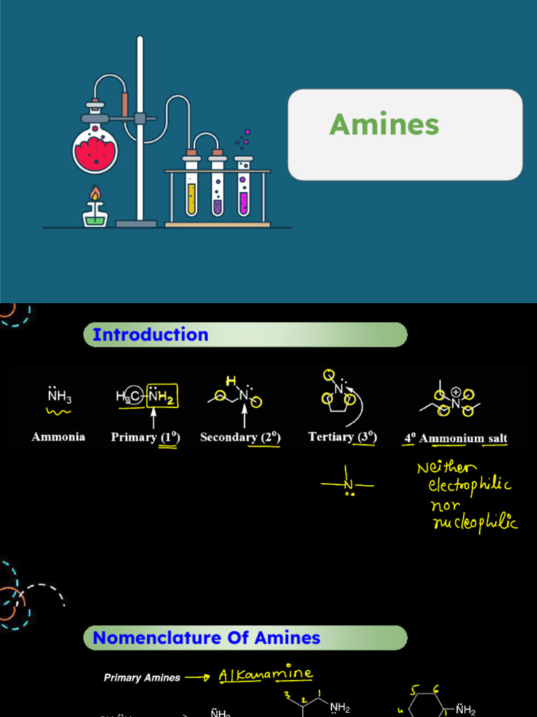 Amines | PDF