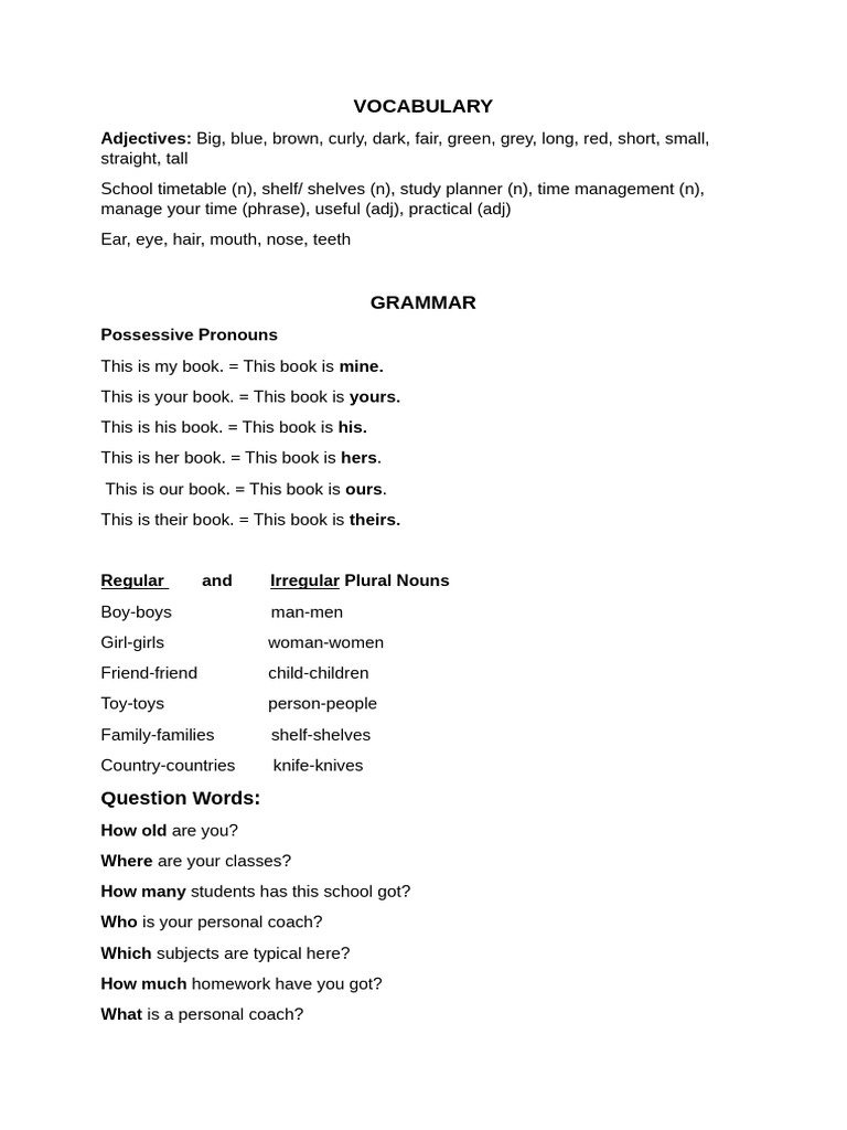 Vocabulary and Grammar Basics | PDF