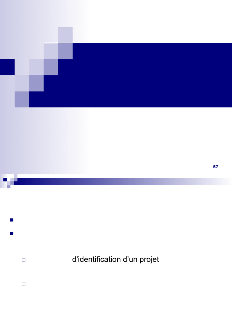 Identification et gestion des projets | PDF | Risque | Gestion de projet