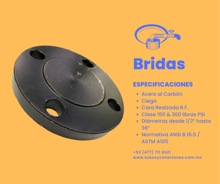 Brida Ciega | PDF