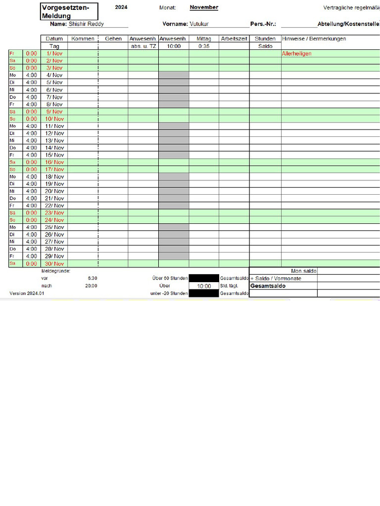 November Timesheet | PDF