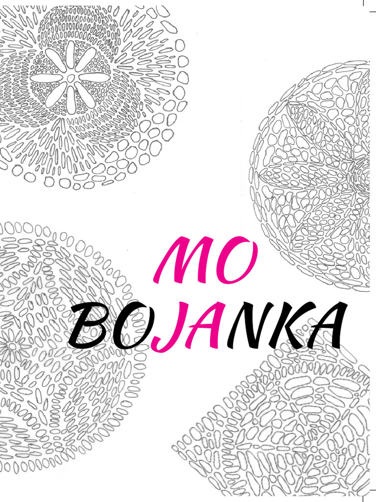 Kaldrma-mostarska-Bojanka-za-učenike | PDF