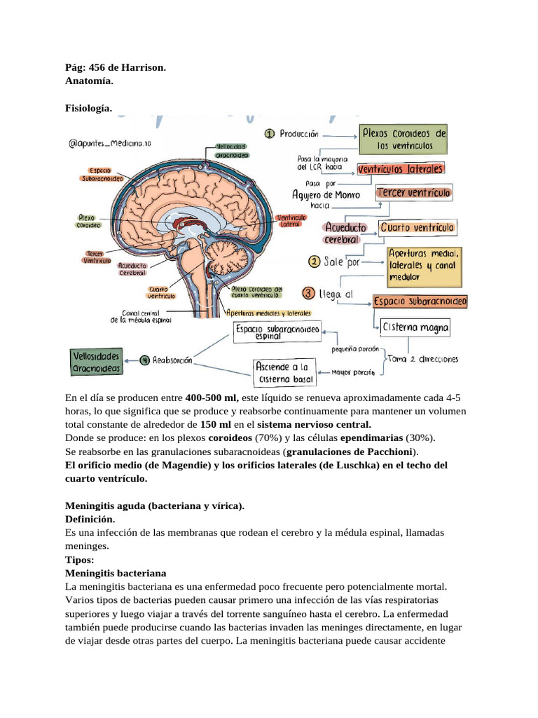 Meningitis: Tipos, Causas y Fisiopatología | PDF | Meningitis | Inflamación