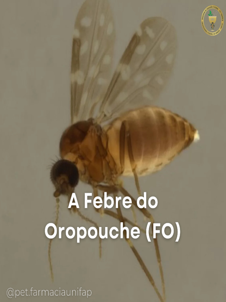 Febre do Oropouche: Sintomas e Prevenção | PDF