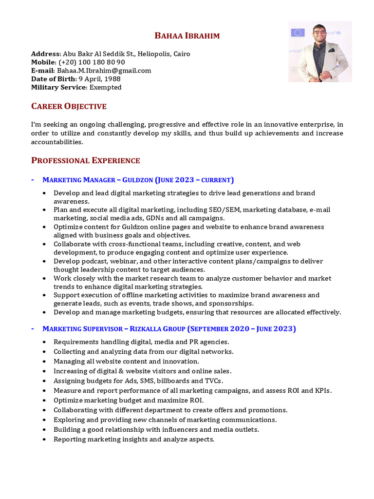 Bahaa Ibrahim Resume | PDF | Digital Marketing | Business