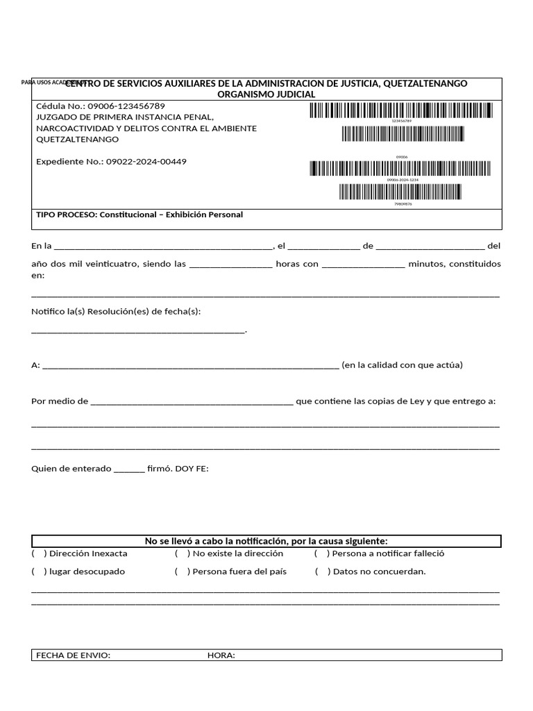 Modelo Cedula de Notificacion | PDF