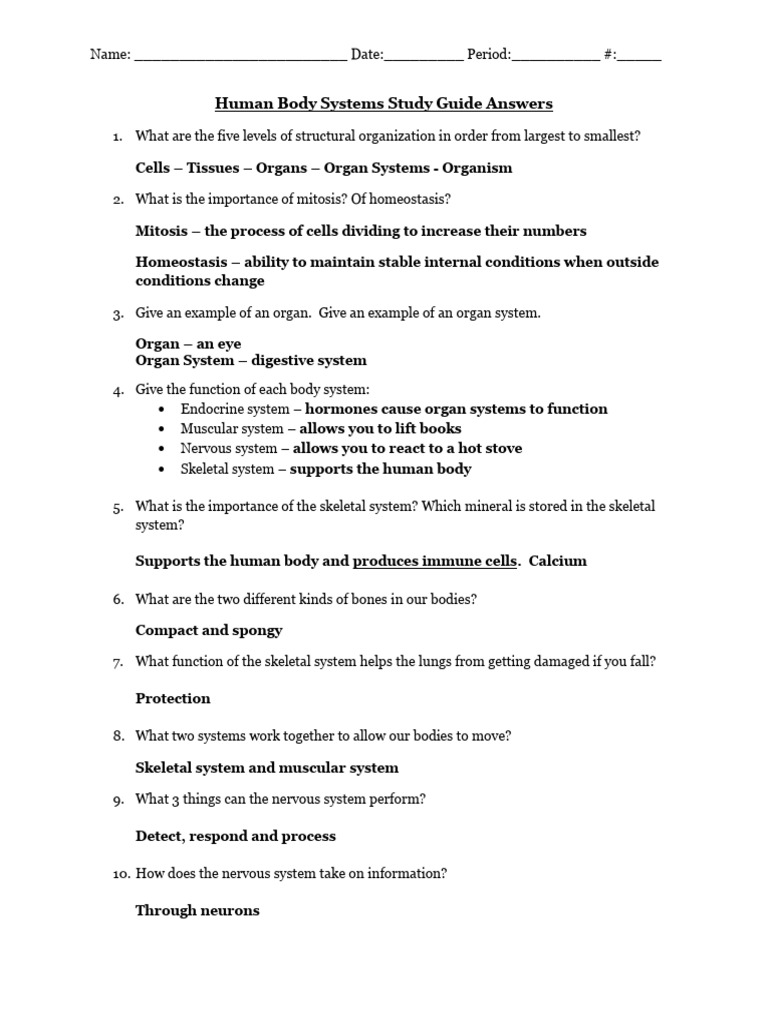 Human Body Systems Study Guide - Answers | PDF | Human Body | Blood