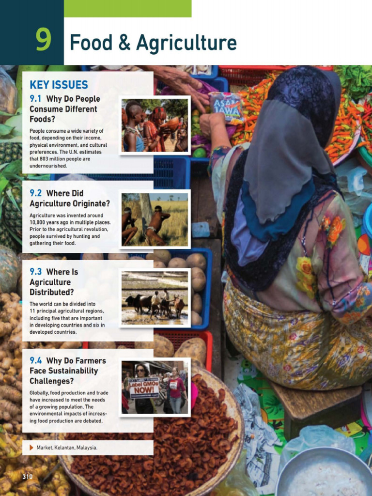 Chapter 9-Cultural Landscape | PDF | Calorie | Agriculture