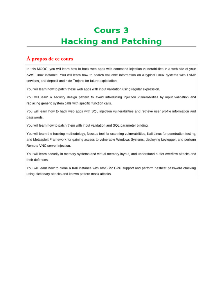 Cours 3 - Hacking and Patching | PDF | World Wide Web | Internet & Web