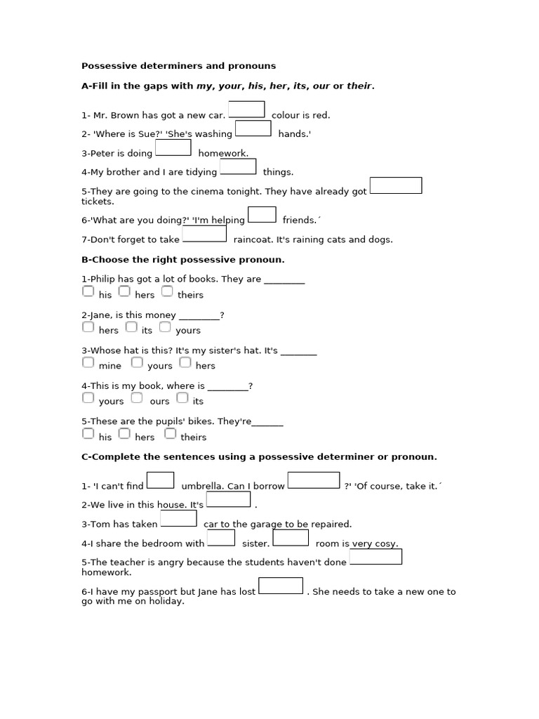 Possessive determiners and pronouns | PDF