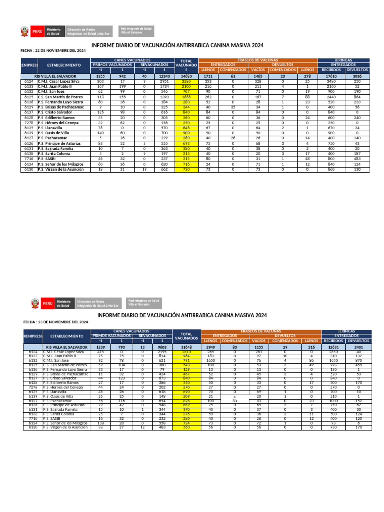 VANCAN 2024 RIS VILLA EL SALVADOR | PDF