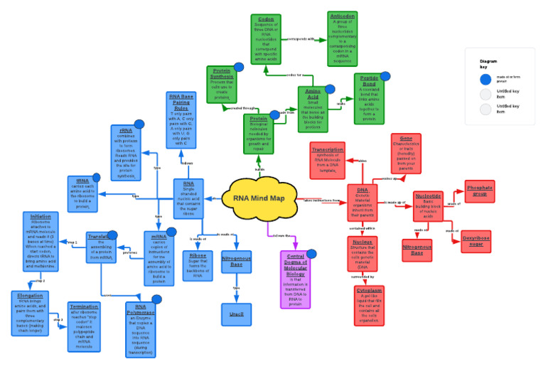 AZ RNA Mind Map | PDF | Rna | Proteins