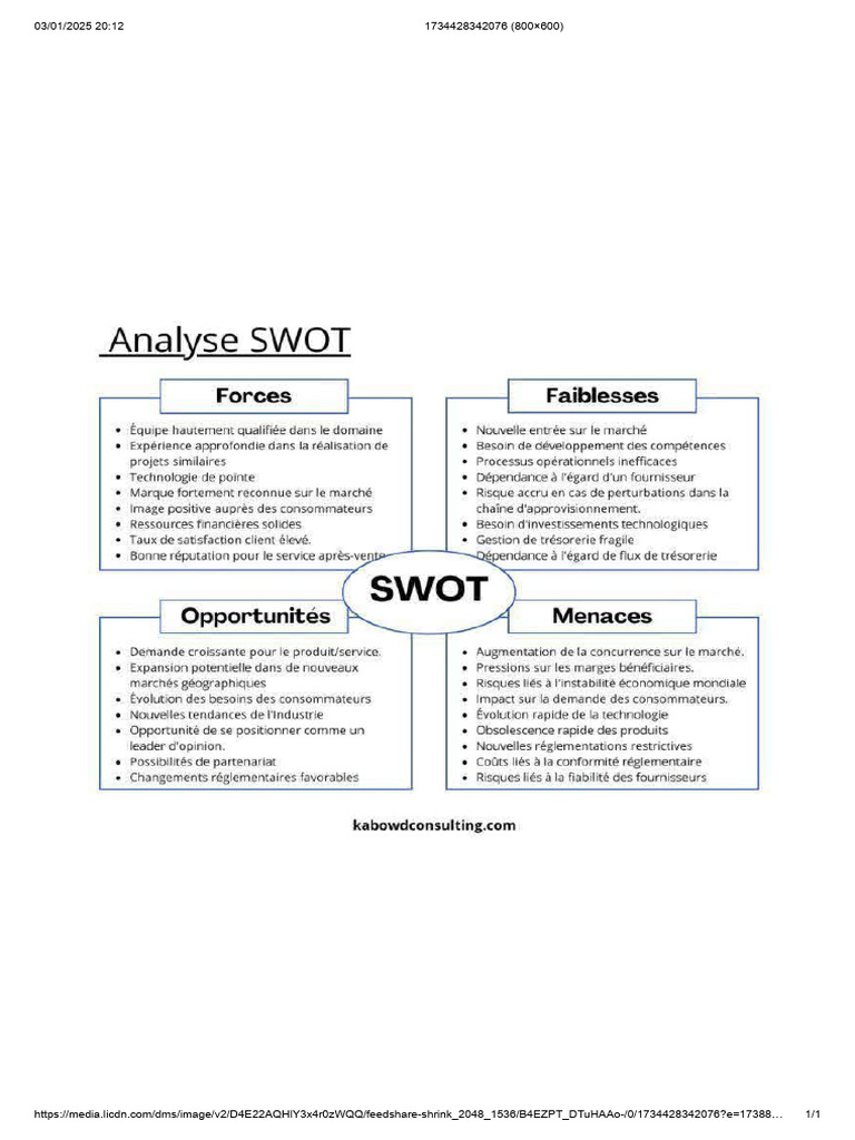 Swot Exemple | PDF