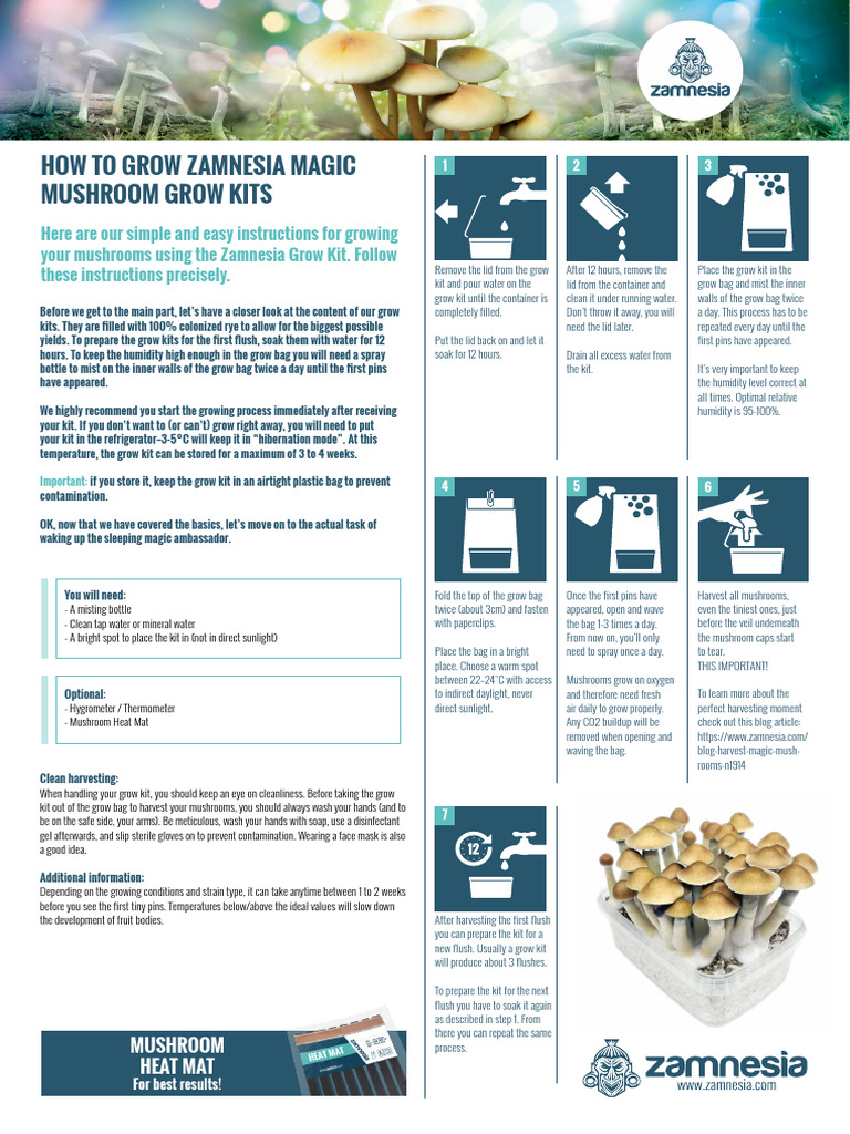 Manual Zamnesia Kit - Zam - EN | PDF
