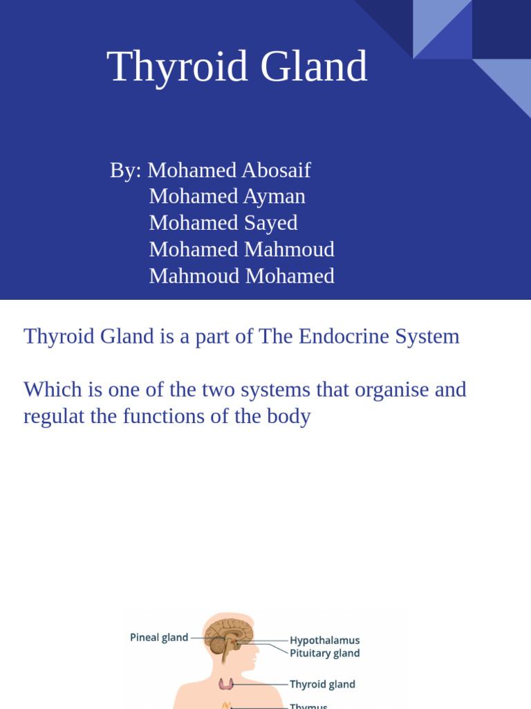 Presentation of Thyroid Gland | PDF | Thyroid | Hyperthyroidism