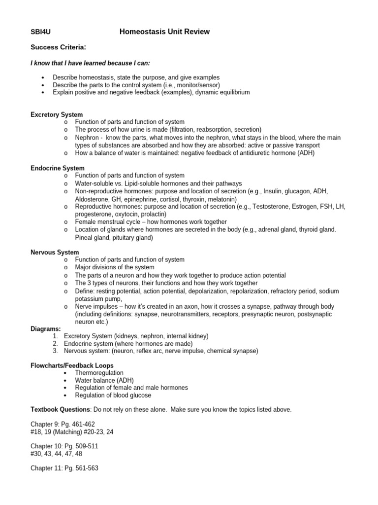 Homeostasis Review-2223s2 | PDF | Hormone | Action Potential