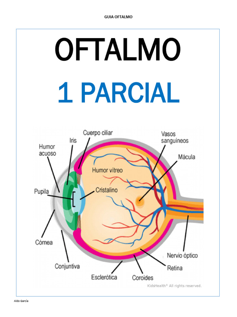 1 Guia Oftalmo Primer Parcial | PDF | Córnea | Oftalmología