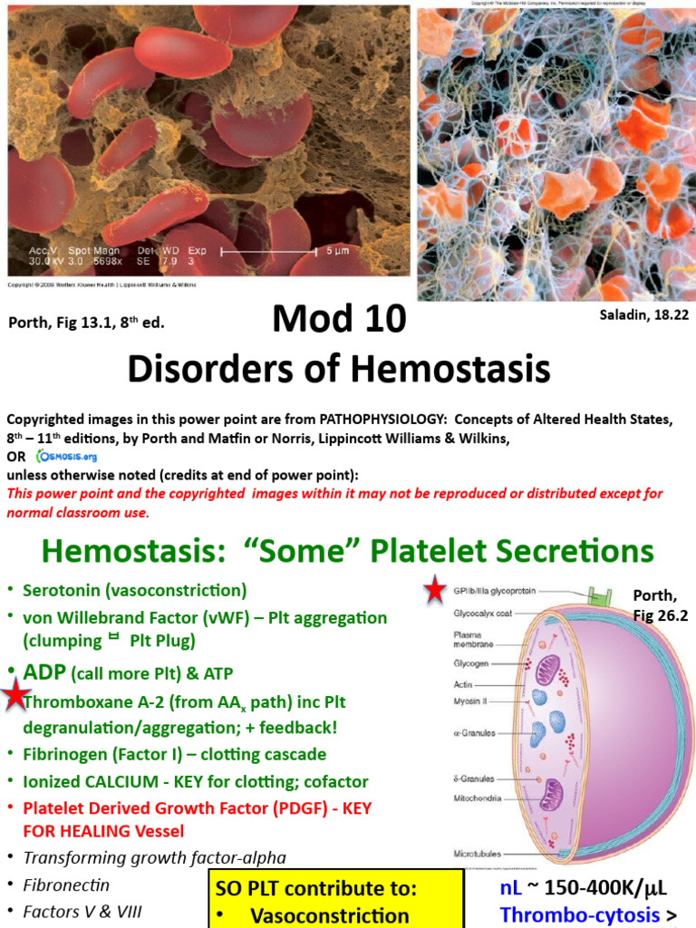 Mod 10 Disorders of Hemostasis: Porth, Fig 13.1, 8 Ed | PDF | Platelet ...