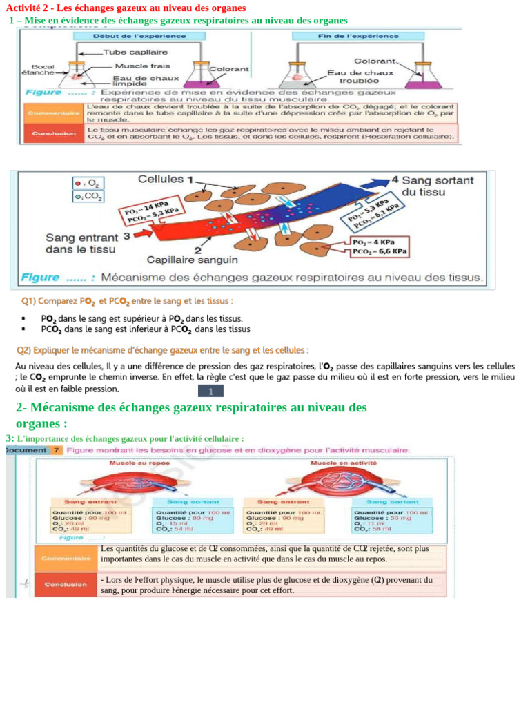 Mécanisme des échanges gazeux respiratoires | PDF