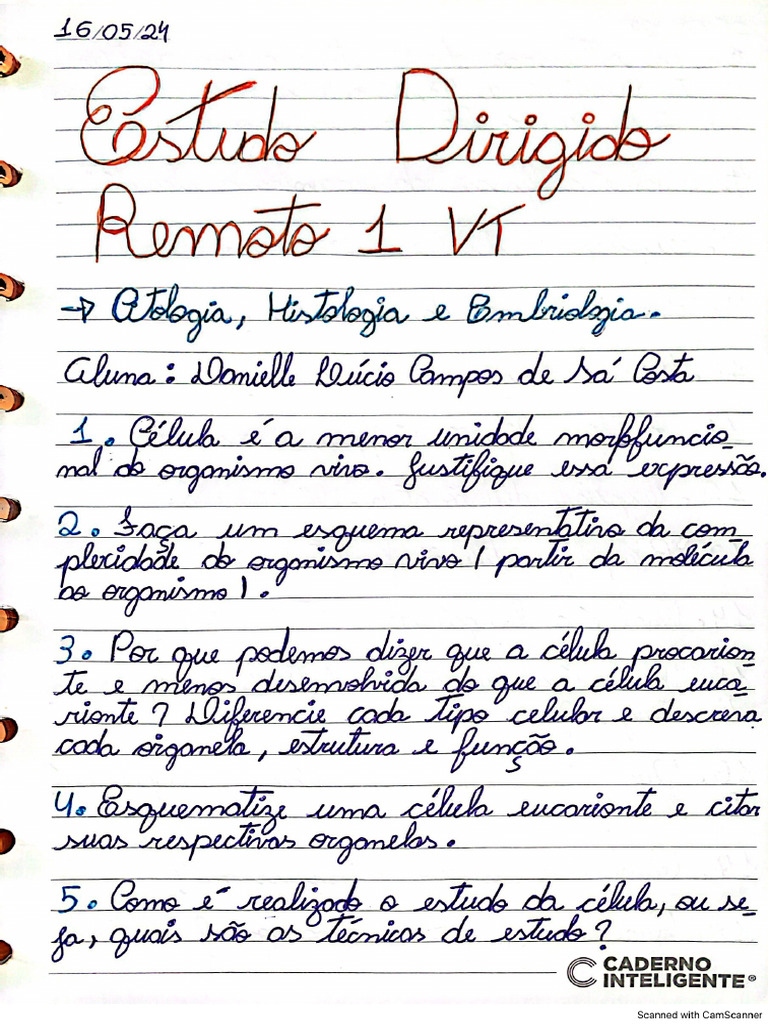 Estudo Dirigido Remoto 1 | PDF