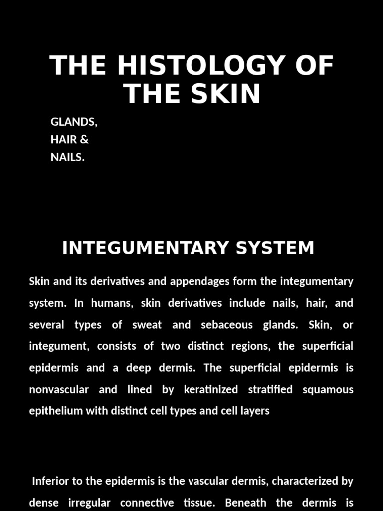 The Histology of The Skin | PDF | Skin | Epidermis