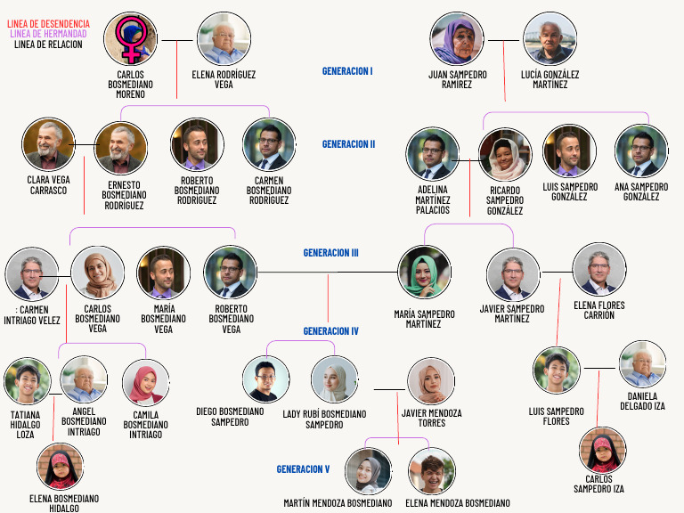 Beige Minimalist Lines Family Tree | PDF