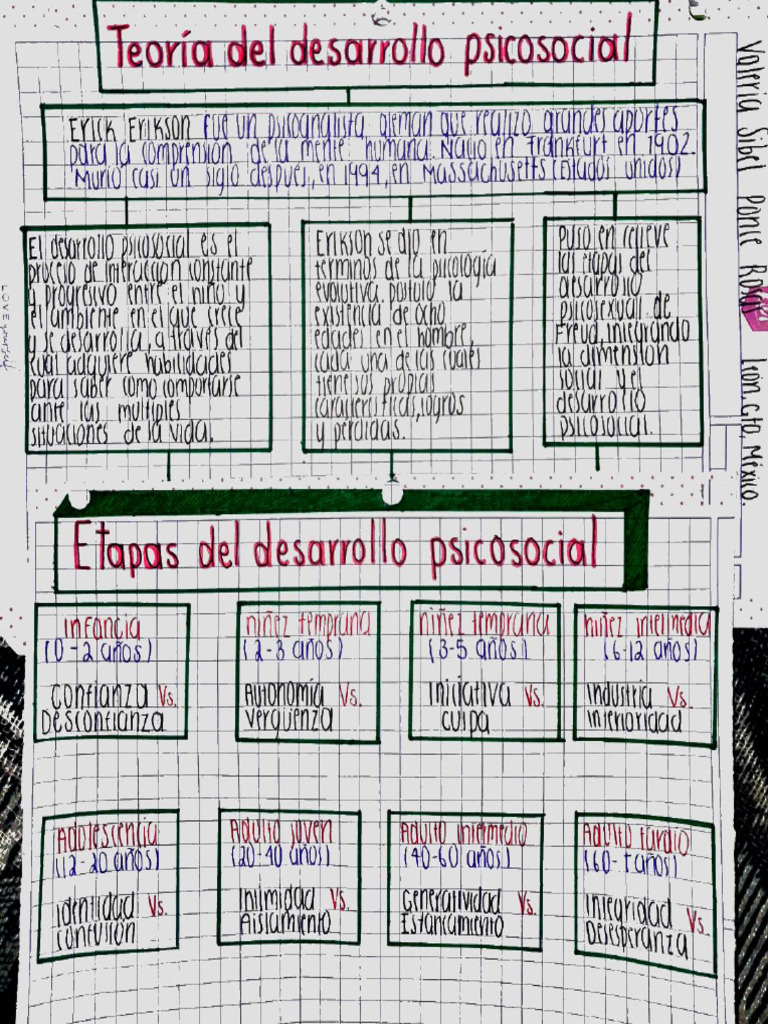 Organizador Gráfico Teoría Del Desarrollo Psicosocial | PDF
