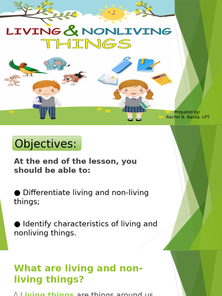 Basila Rachel Powerpoint Presentation | PDF