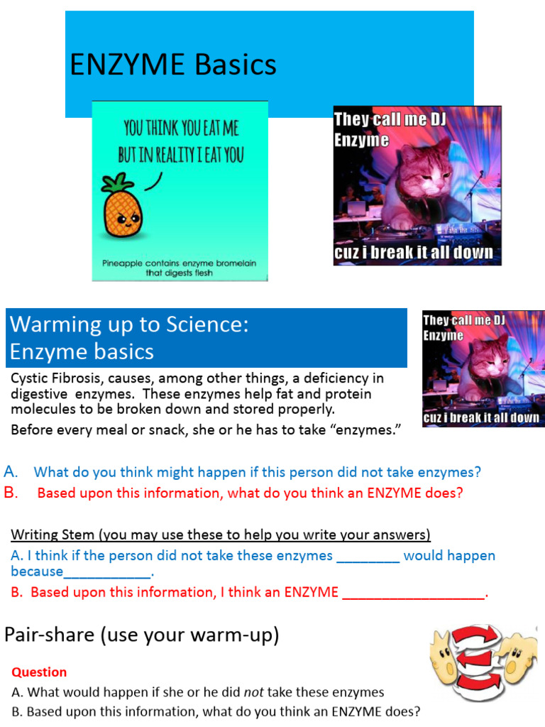 Enzyme Notes Without Toothpickase | PDF | Enzyme | Substrate (Chemistry)