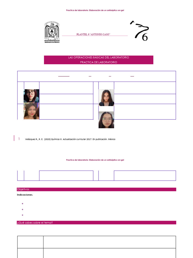 Pr02 Eq03 | PDF | Coloide | Etanol