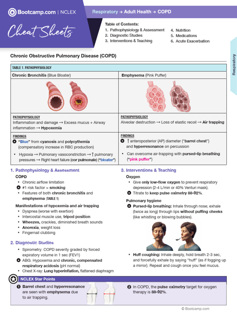 Cholecystitis & Pancreatitis Cheat Sheet 2 | PDF | Chronic Obstructive ...
