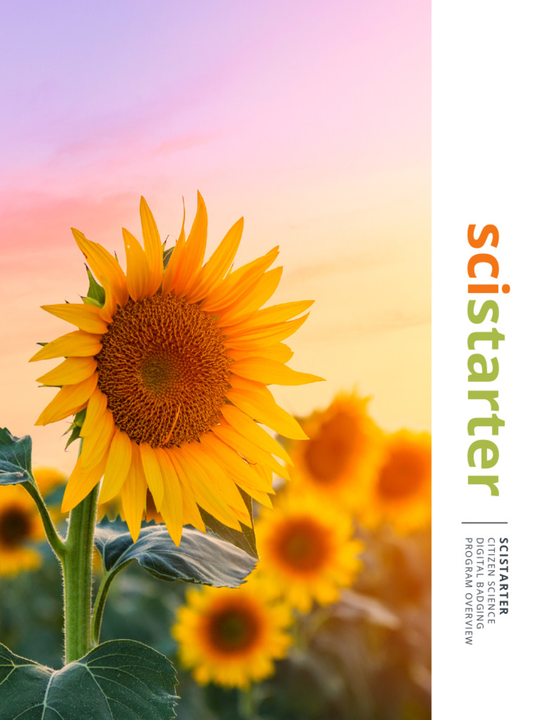 SciStarter Badging Program Brochure 2024 - C 3x1O8Wg | PDF | Science | Libraries
