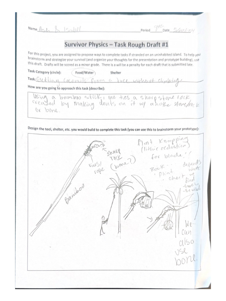 Survivor Physics - Task Rough Draft #1 | PDF