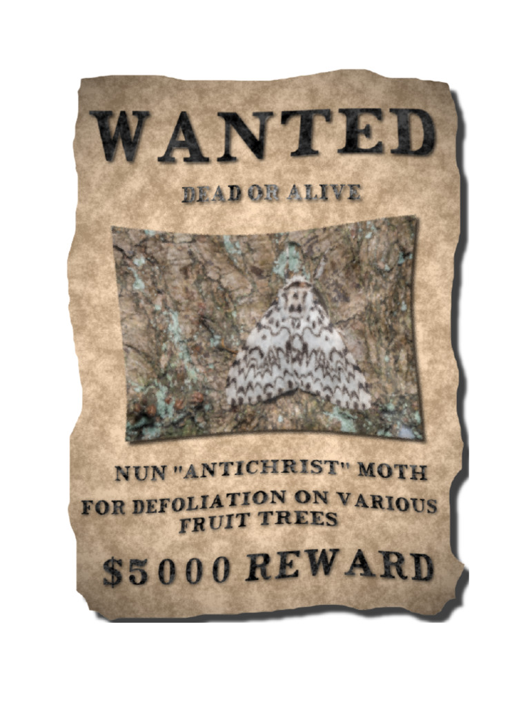 Gunnar's Module 5 GI Wanted Poster | PDF