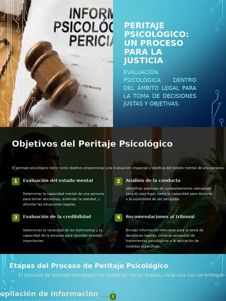 Peritaje Psicologico | PDF | Sicología | Mente