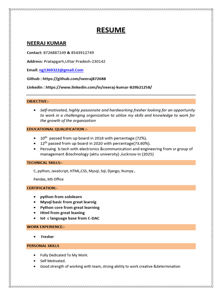 Neeraj Kumar's Resume Overview | PDF