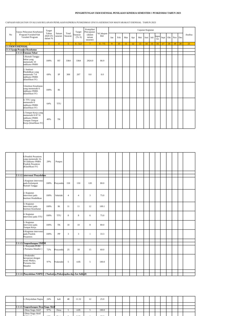 Laporan Kegiatan Program UKM 2024 | PDF