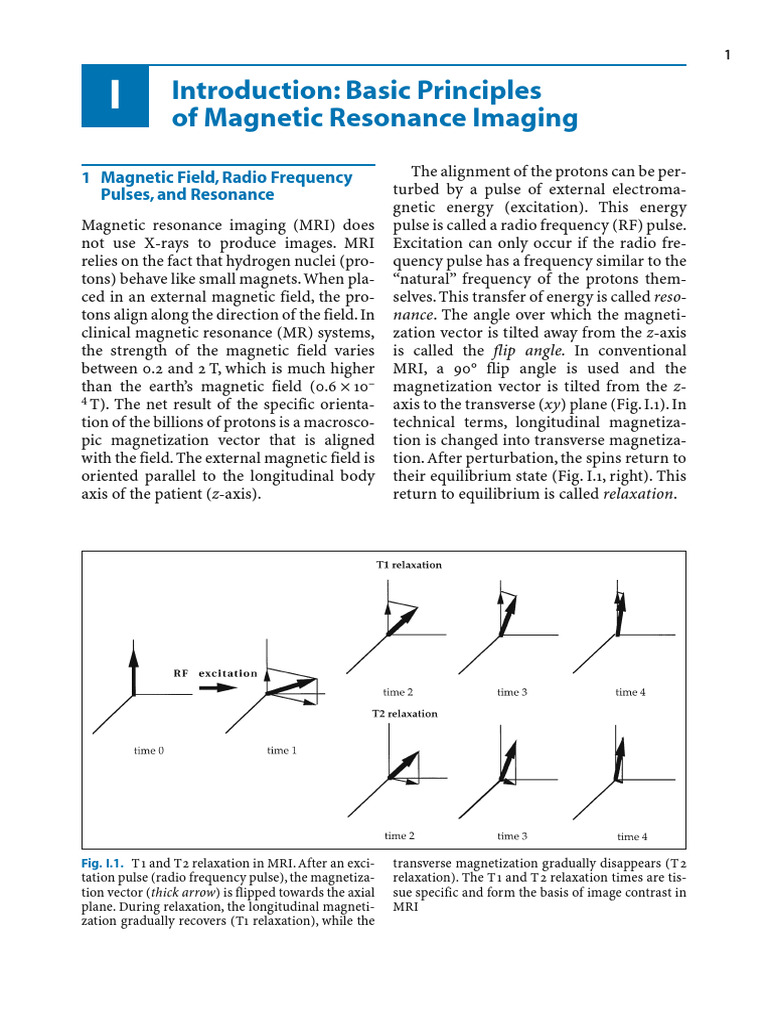 Introduction Basic Principles of Magnetic Resonance Imaging 2006 | PDF | Magnetic Resonance ...